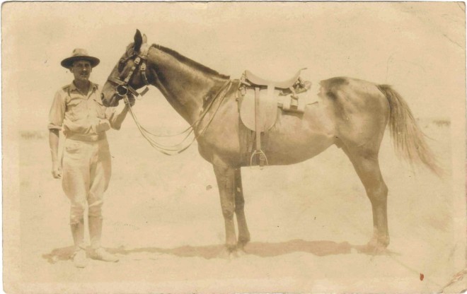 Exhibitions – Raglan & District Museum